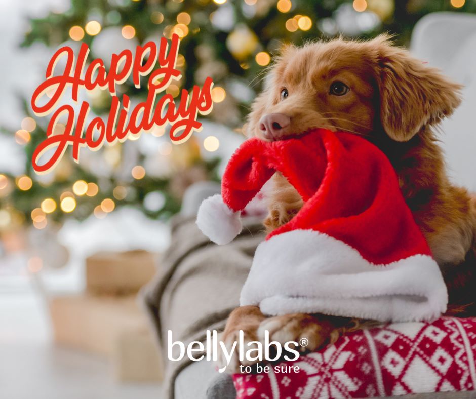 Wishing you all the joy, love, and warmth this holiday season! – Bellylabs