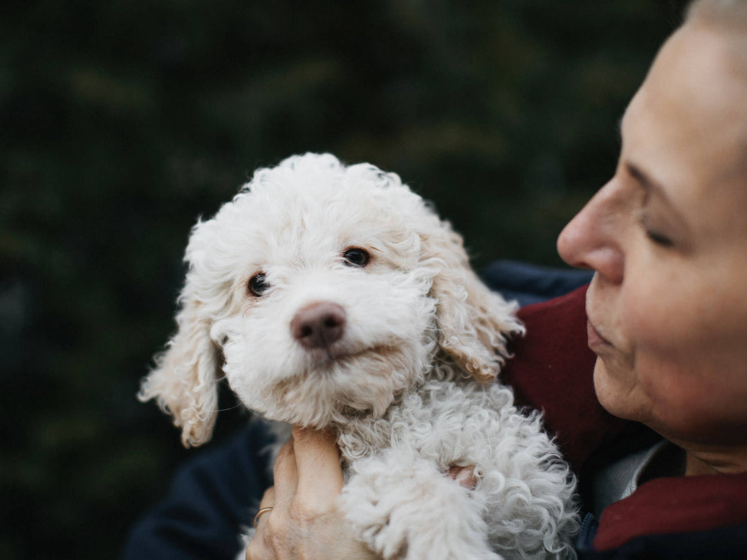 Signs And Stages of Dog Labor – Bellylabs