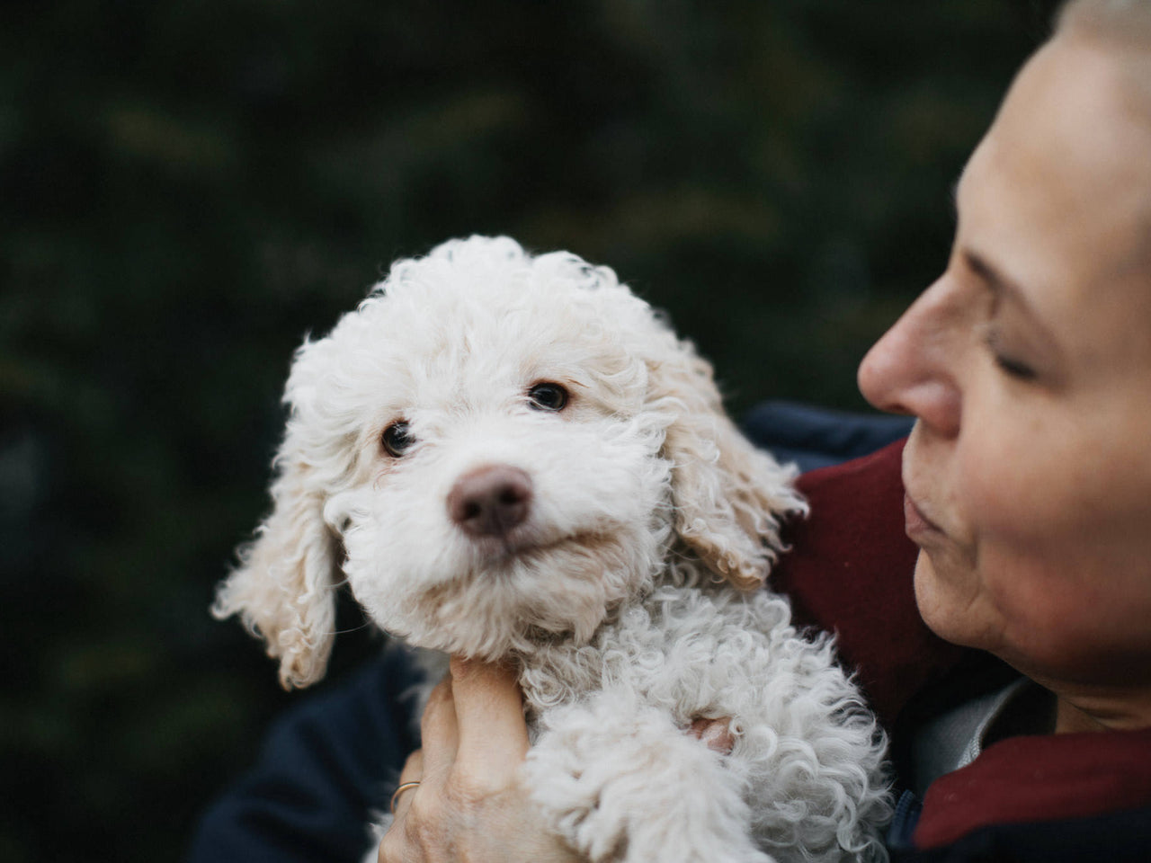 Signs And Stages of Dog Labor – Bellylabs