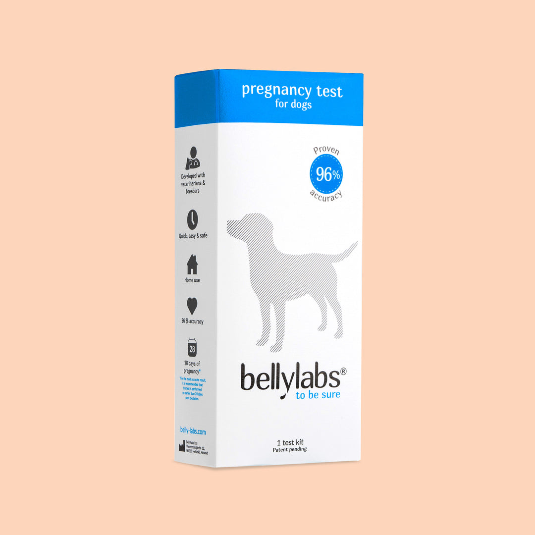 Signs And Stages of Dog Labor – Bellylabs