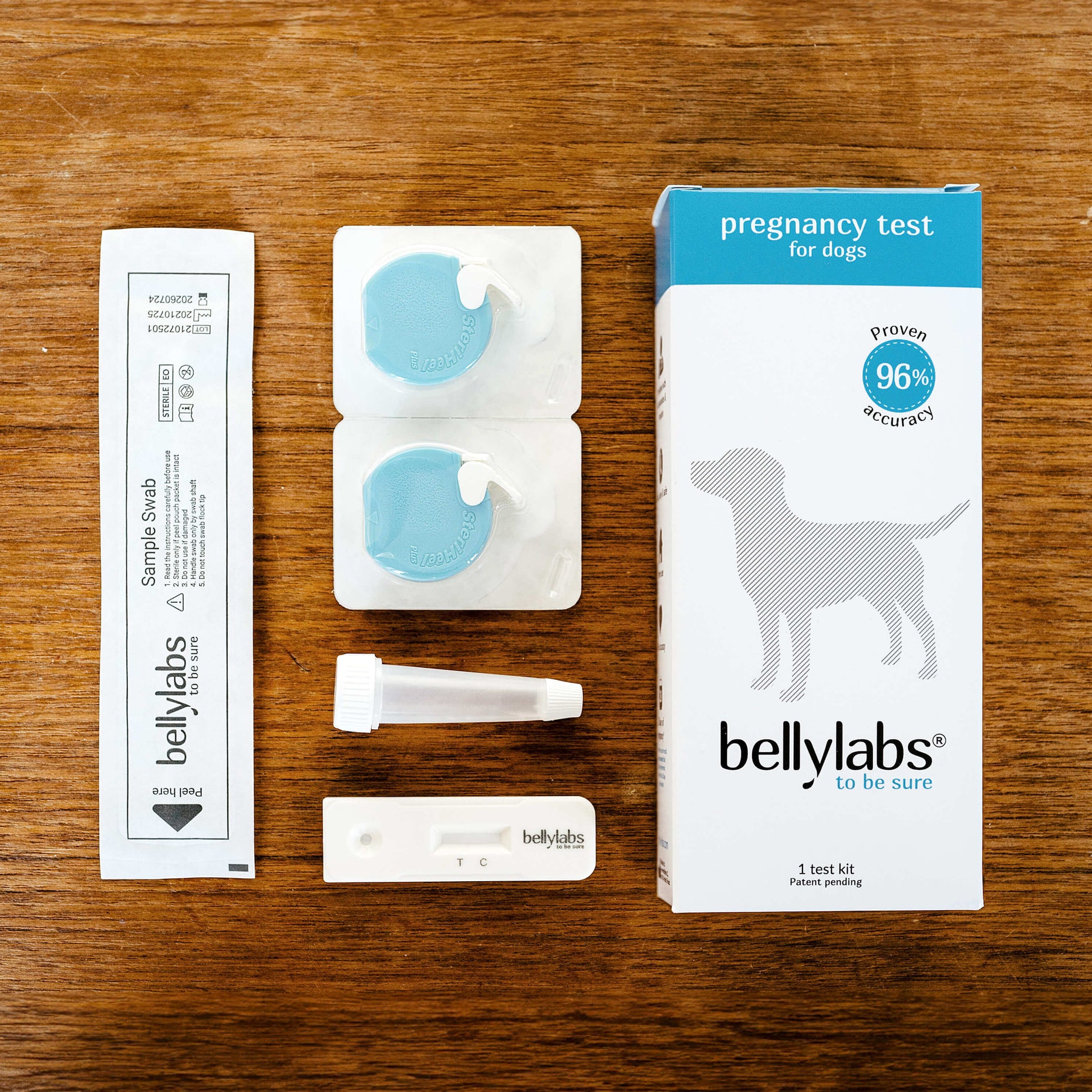Understanding Dog Progesterone Levels for Successful Breeding – Bellylabs